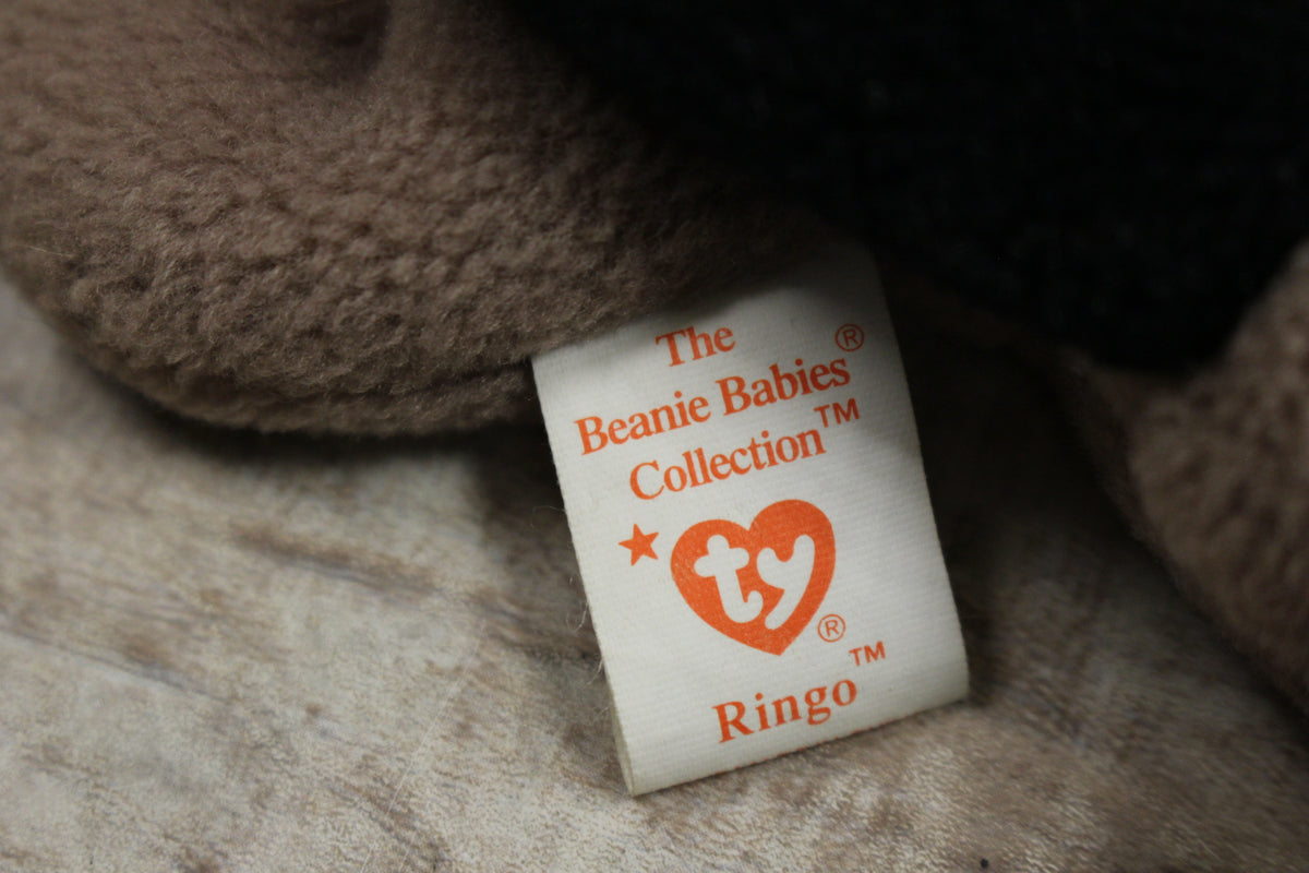 TY Beanuie Baby Ringo Raccoon -Used – Military Steals and Surplus