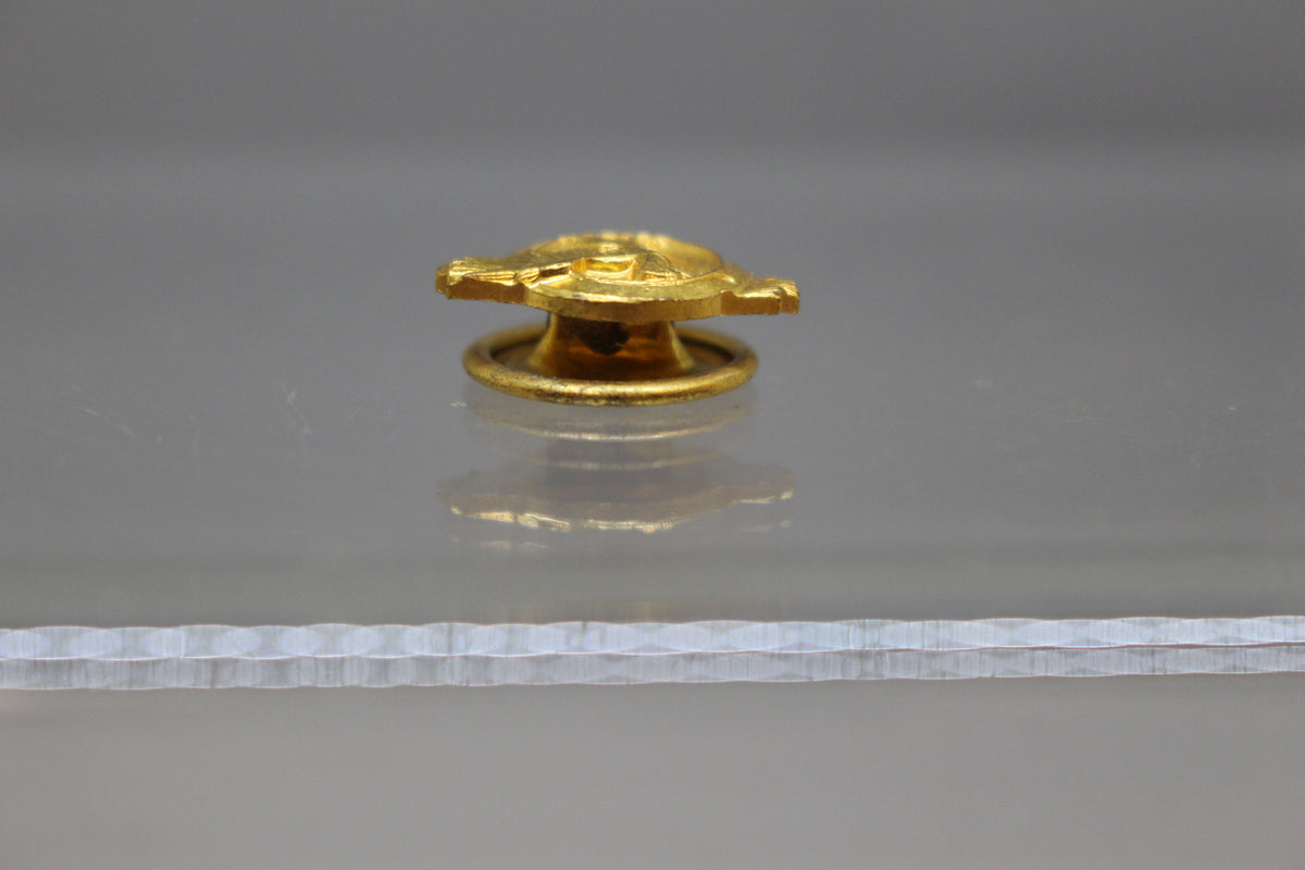 US Army Air Corps Ruptured Duck Pin - Used – Military Steals and Surplus
